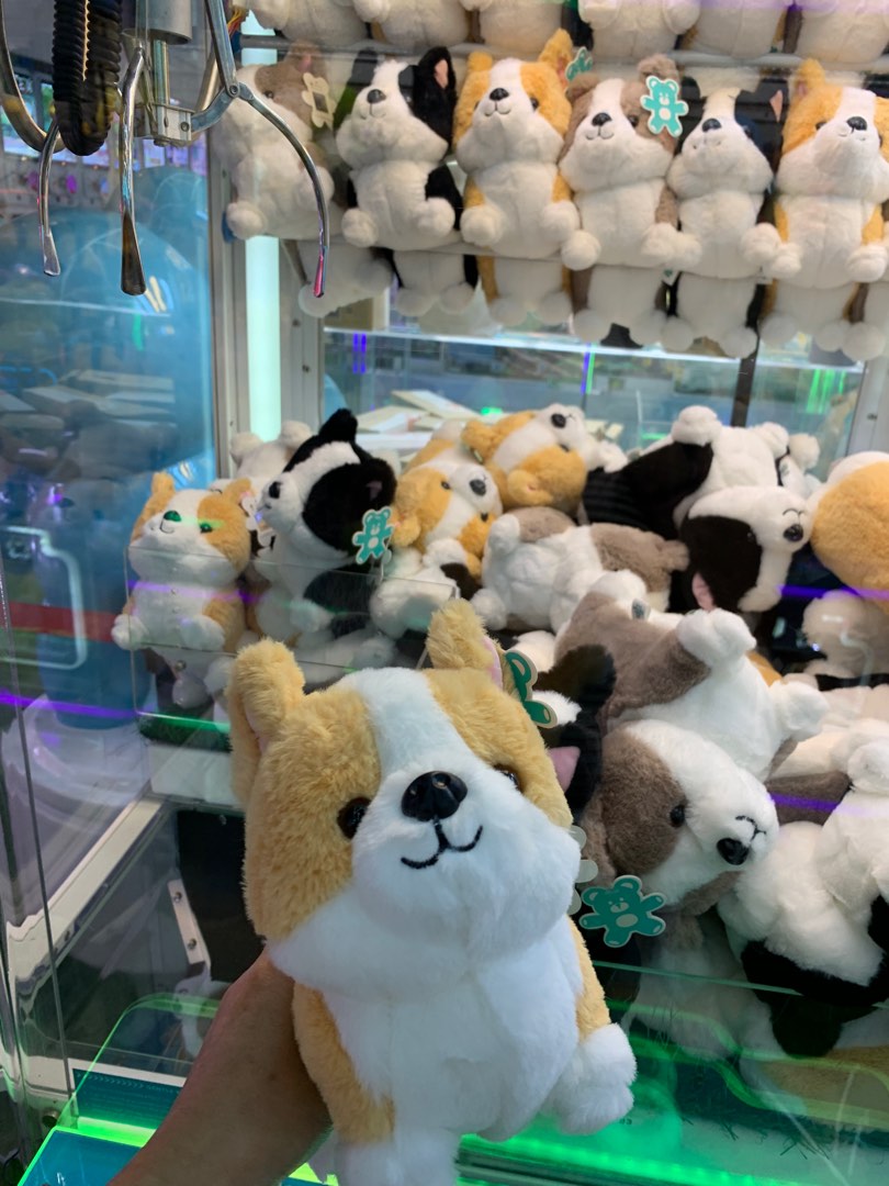 Fun Claw Corgi Plushie, Hobbies & Toys, Toys & Games on Carousell