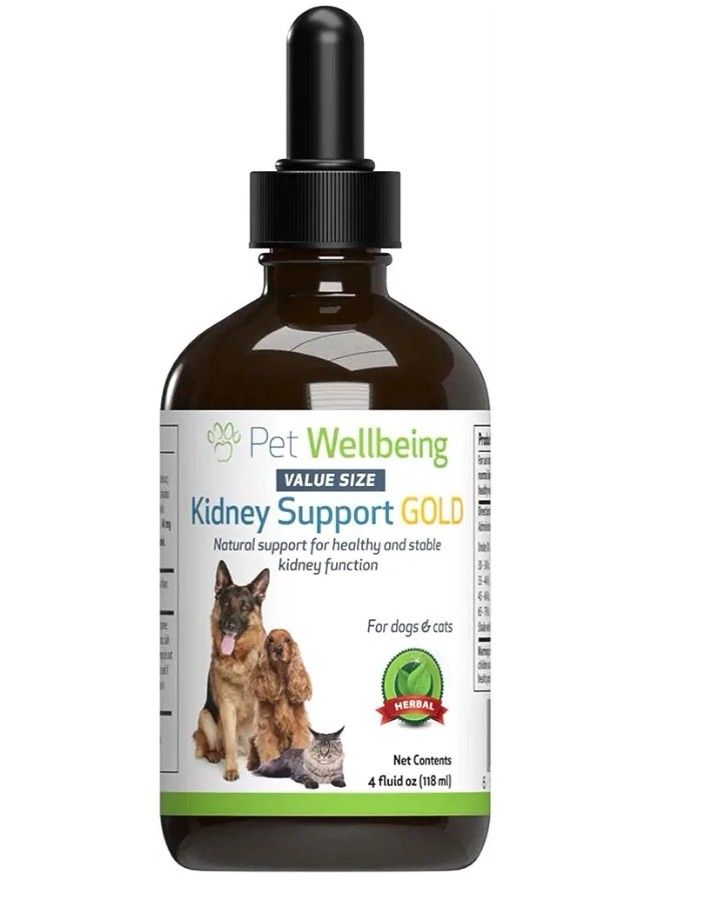 Pet wellbeing kidney support gold 4oz, Pet Supplies, Health & Grooming ...