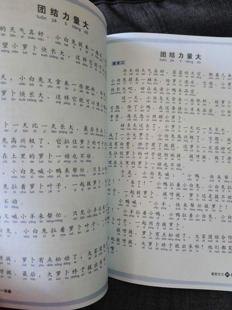 PSLE Chinese Composition guidebook Primary 6 Pri 6 P6, Hobbies & Toys ...