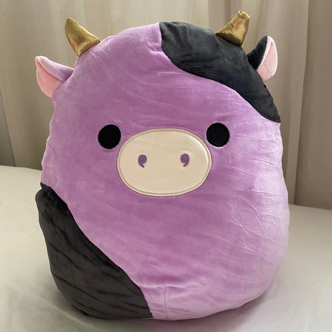 Alexie the Cow 14" Squishmallow, Hobbies & Toys, Toys & Games on Carousell