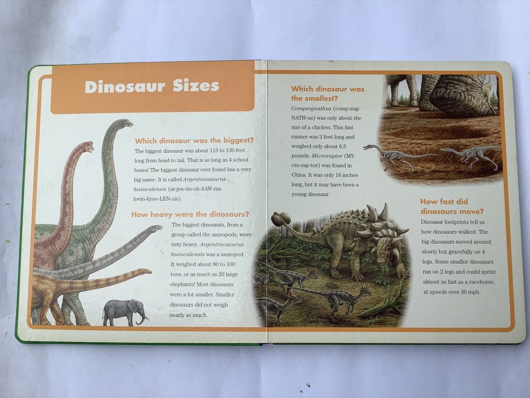 Big Questions and Answers Dinosaurs (Preloved), Hobbies & Toys, Books ...