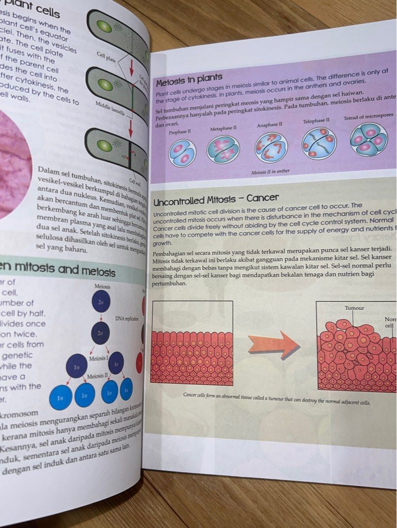 Biology Encyclopedia (dual language/dwibahasa), Hobbies & Toys, Books ...
