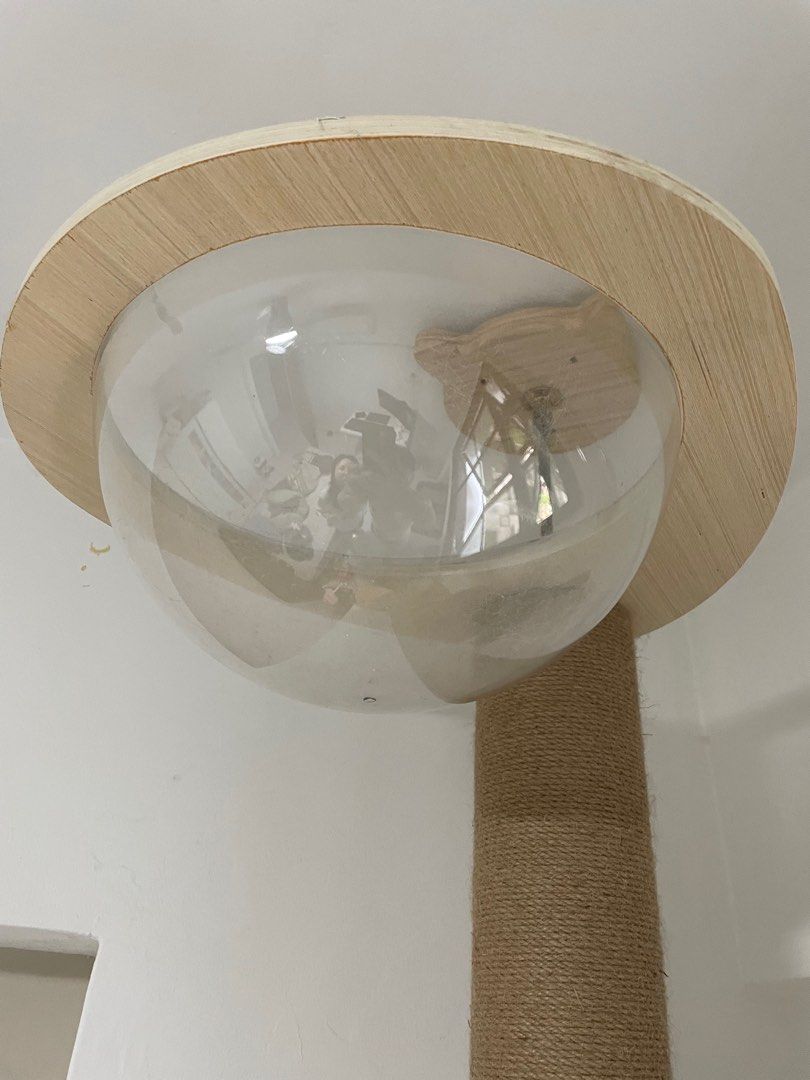 Cat Tree.Ceiling scratche pole condo tree., Pet Supplies, Homes & Other ...