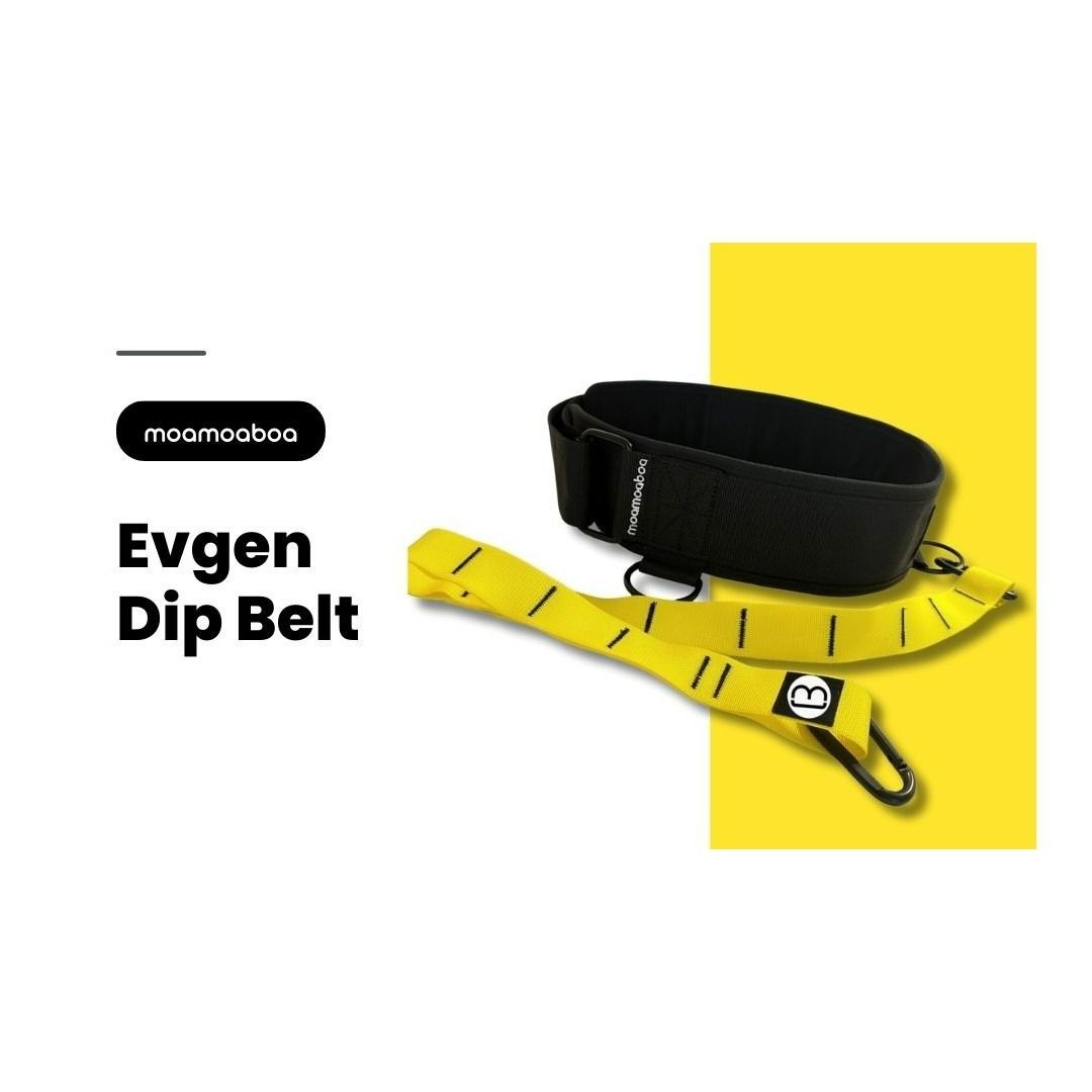 Evgen Dip Belt: Your Ultimate Companion for Weightlifting, Pullups, Powerlifting, Squats, and ...