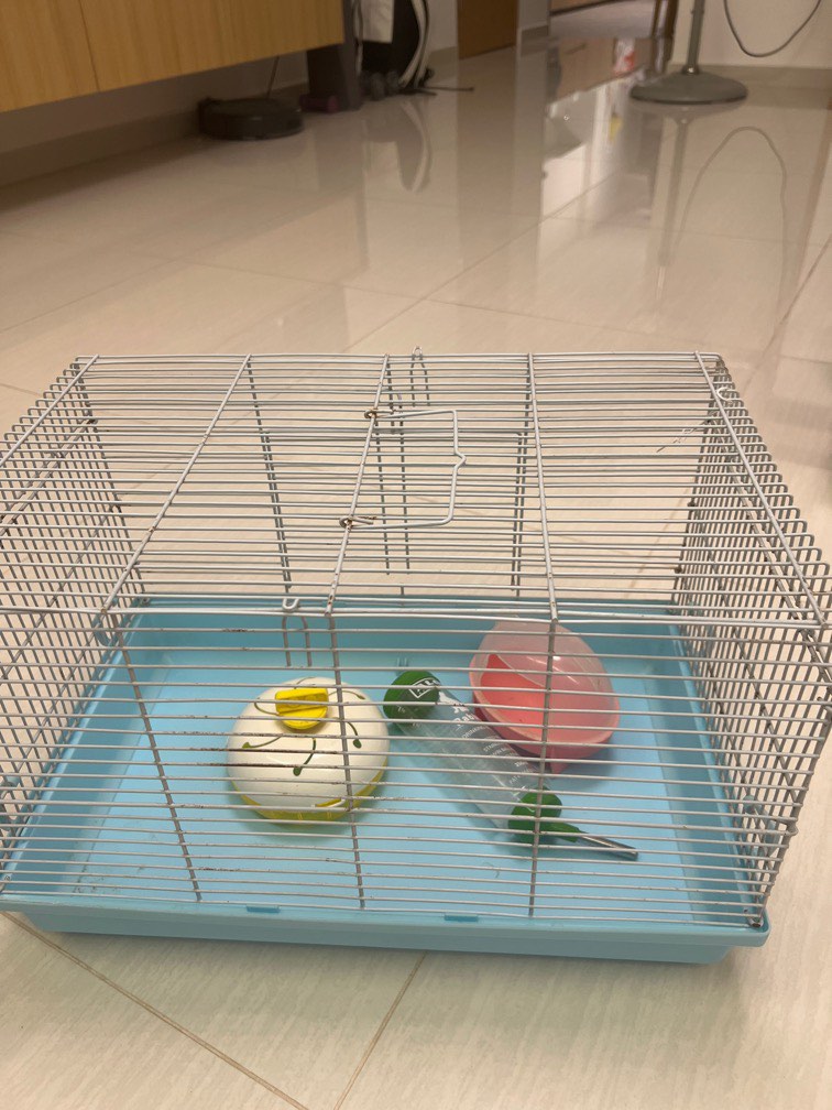 Hamster / bird cage, Pet Supplies, Homes & Other Pet Accessories on ...