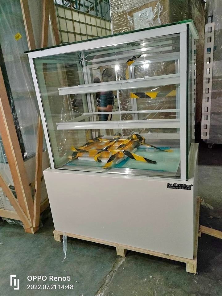 JAPANESE STYLE CAKE CHILLER FLOOR TYPE CHILLER on Carousell