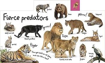 My First Zoo Let's Meet the Animals! (My First Tabbed Board Book ...