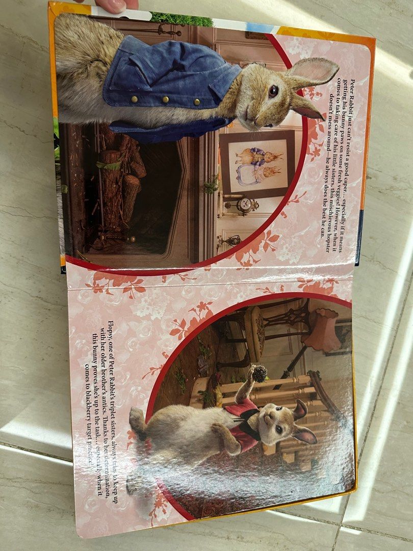Peter Rabbit My Busy Books (storybook, 10 figurines and a playmat), 興趣及 ...
