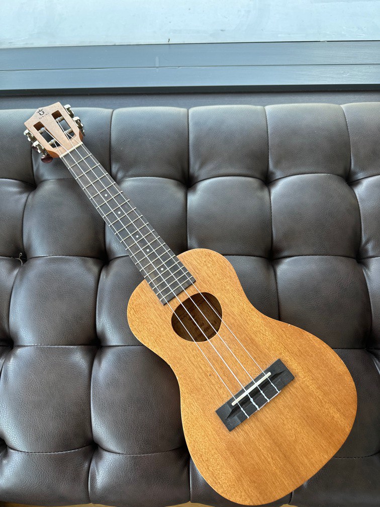 Ukulele, Hobbies & Toys, Music & Media, Musical Instruments on Carousell