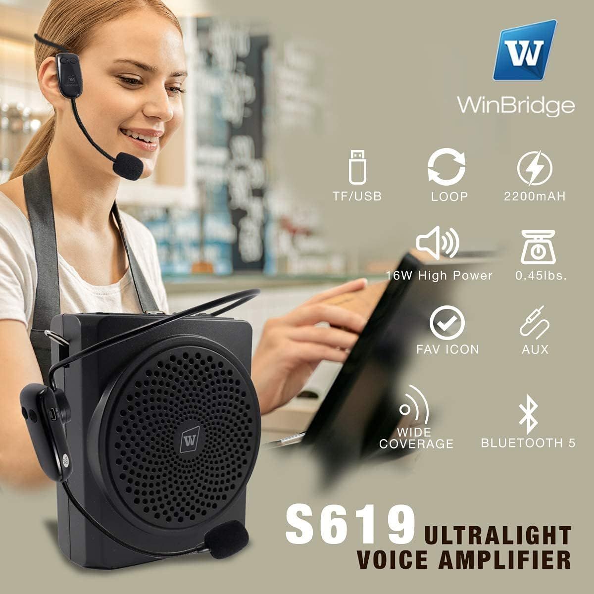 Wireless Voice Amplifier Wireless Microphone Headset, 16W Bluetooth ...