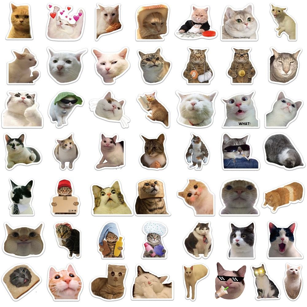 50pcs Cat Meme Funny Stickers Waterproof Skateboard Laptop Luggage Car ...
