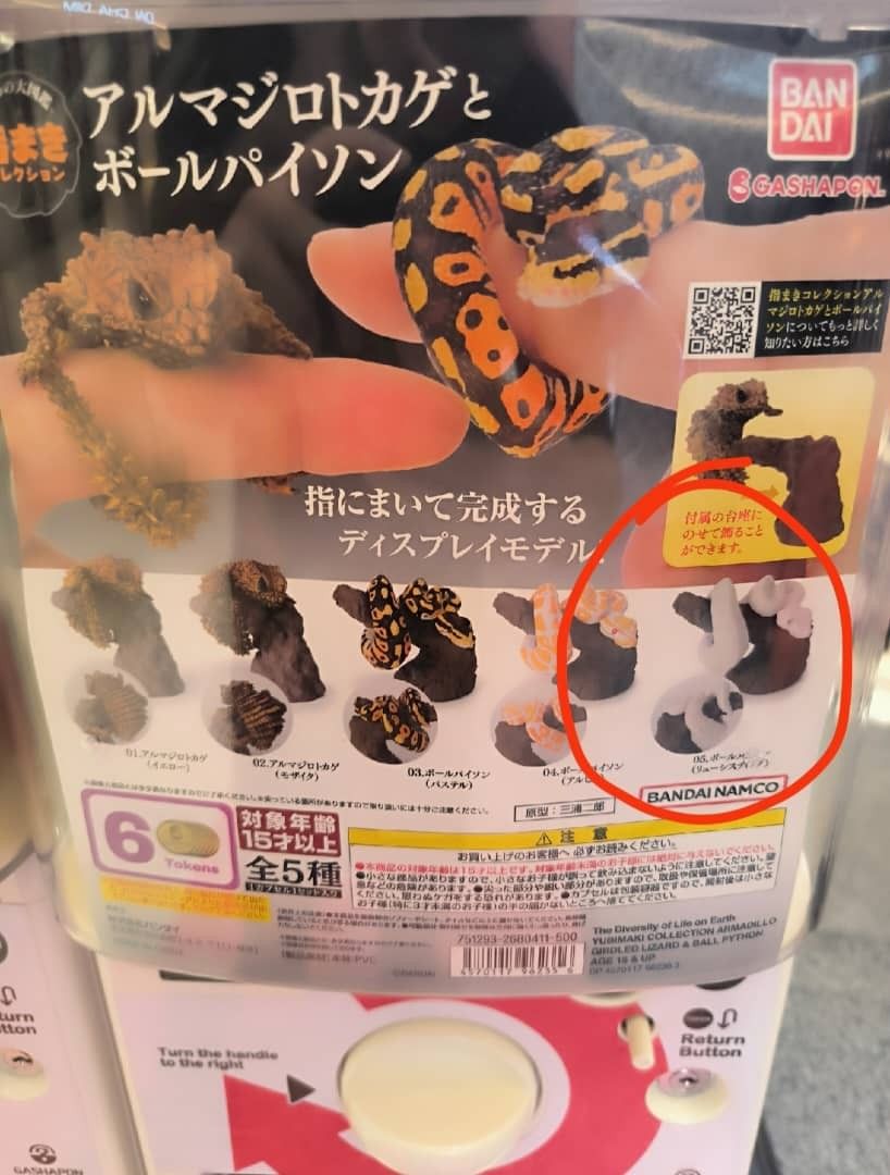 BANDAI Gashapon Fingertip Creature Armadillo Lizard And Ball Python ...