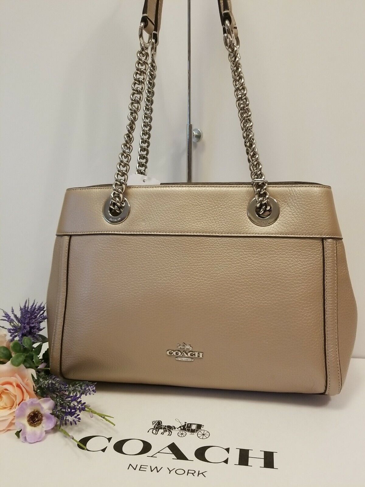 [COACH] AUTHENTIC Metallic Beige Leather Mini Brooke Carryall Chain ...