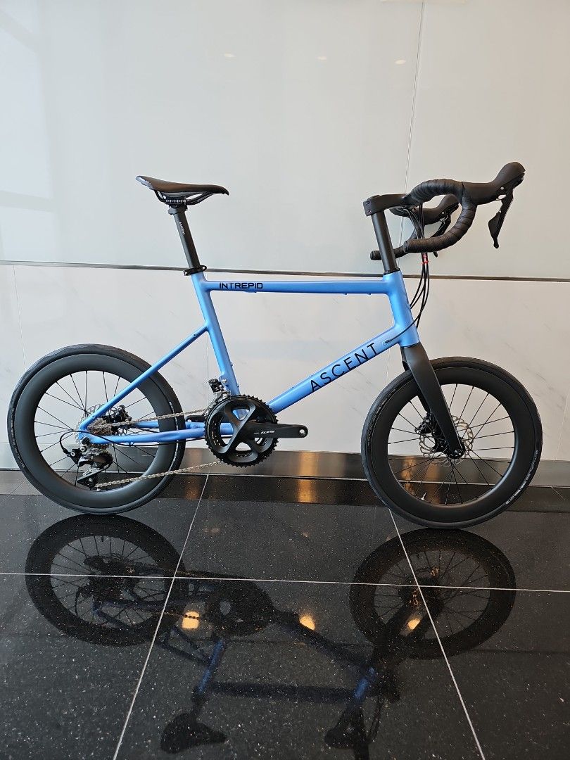 Custom Ascent Interpid Mini Velo, Sports Equipment, Bicycles & Parts ...