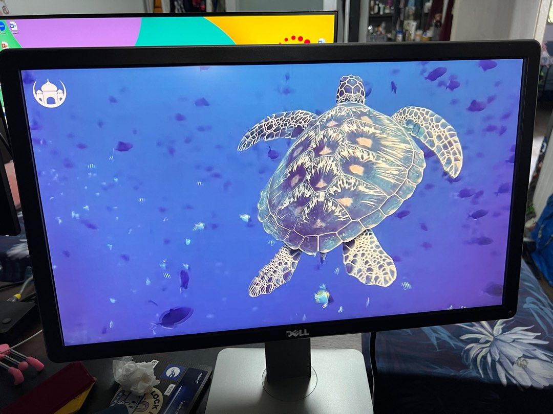 Dell Monitor (P2415qb), Computers & Tech, Parts & Accessories, Monitor ...