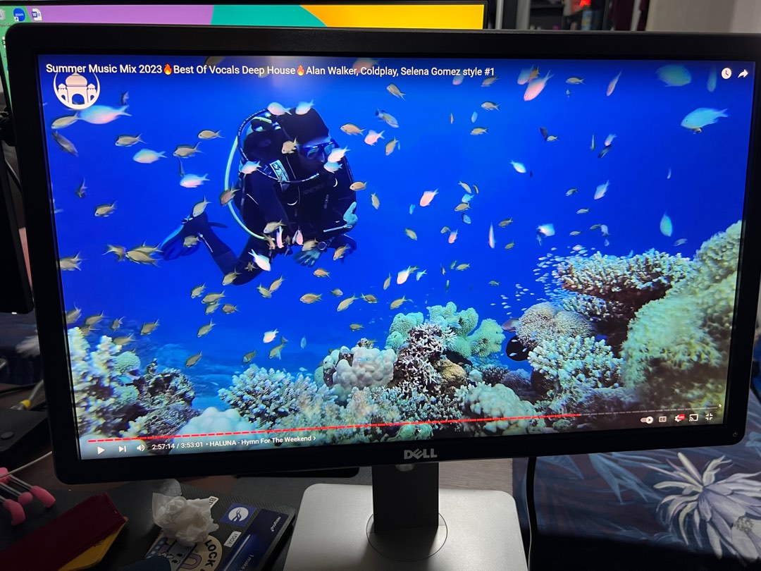 Dell Monitor (P2415qb), Computers & Tech, Parts & Accessories, Monitor ...