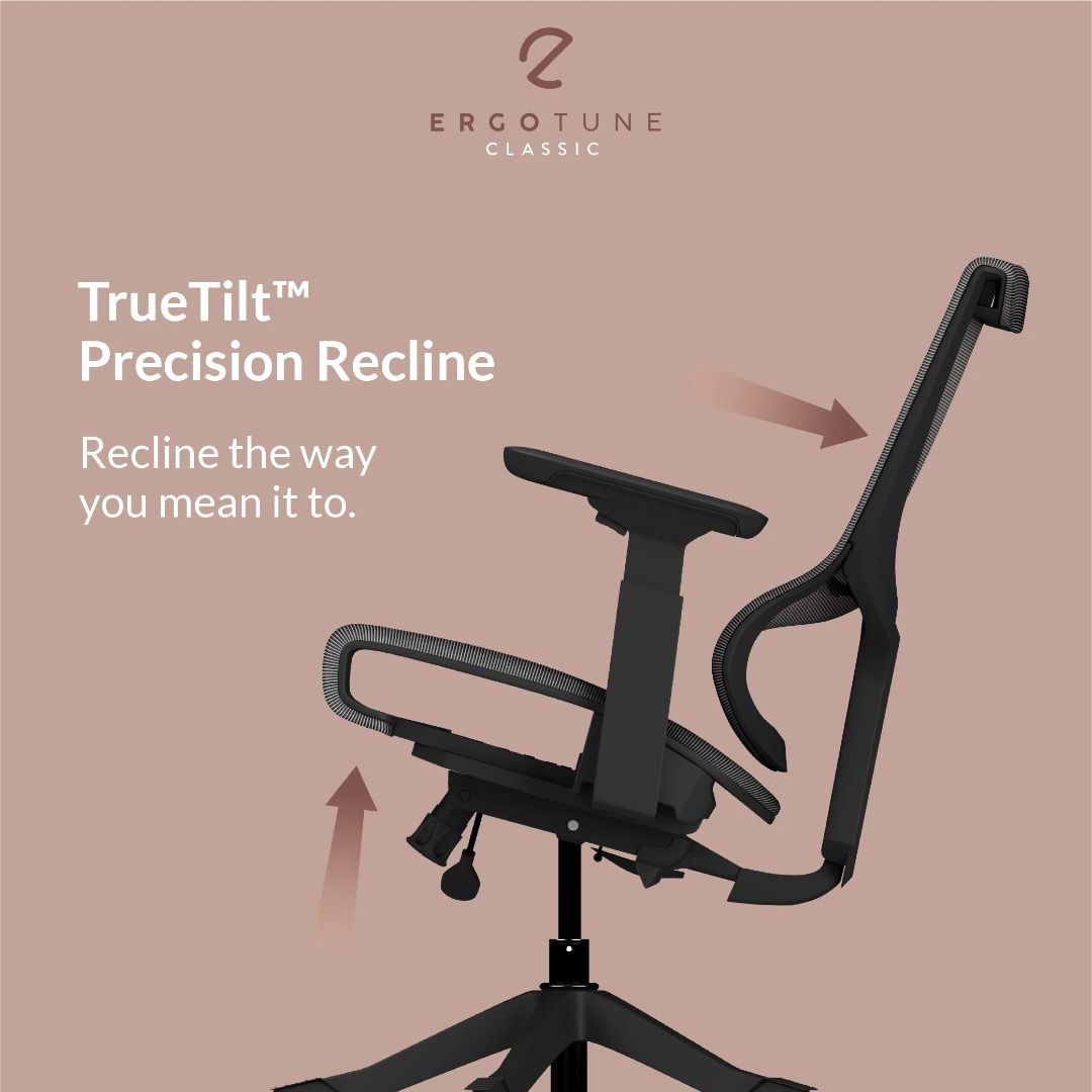ErgoTune Classic V2 Ergonomic Chair (Seatbase ONLY), Furniture & Home ...