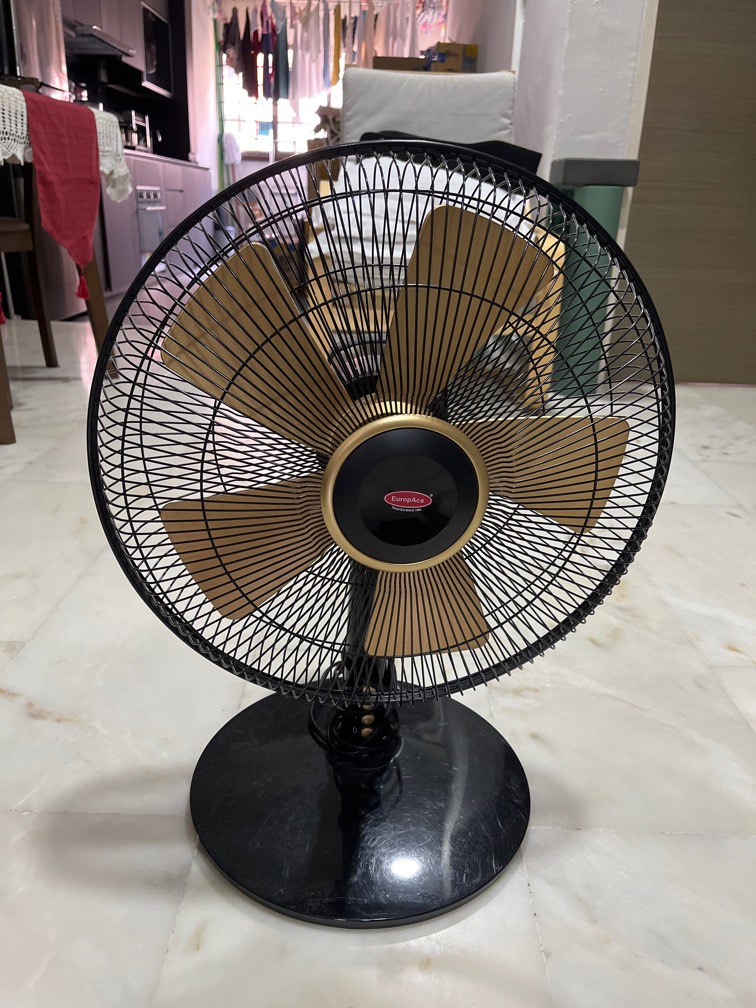 EuropAce 3-speed oscillating fan, Furniture & Home Living, Lighting ...