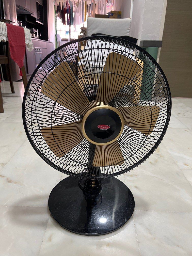 EuropAce 3-speed oscillating fan, Furniture & Home Living, Lighting ...