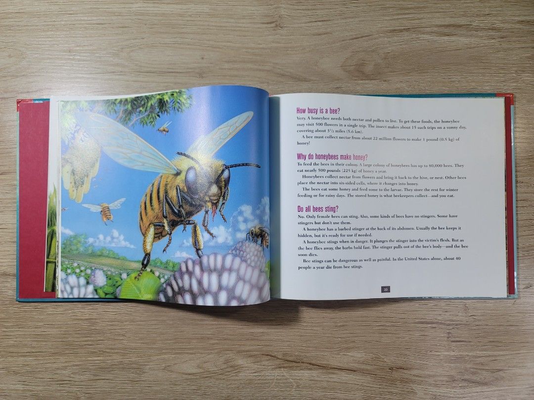 How Do Fly Walk Upside Down?, Hobbies & Toys, Books & Magazines ...