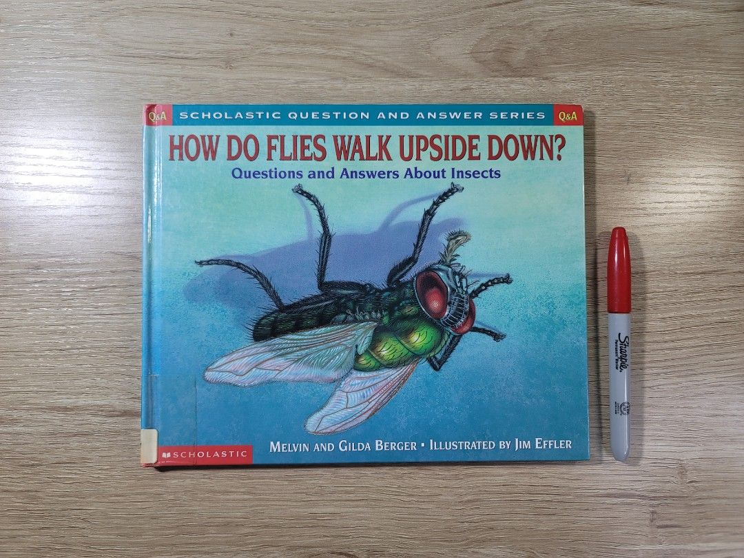 How Do Fly Walk Upside Down?, Hobbies & Toys, Books & Magazines ...
