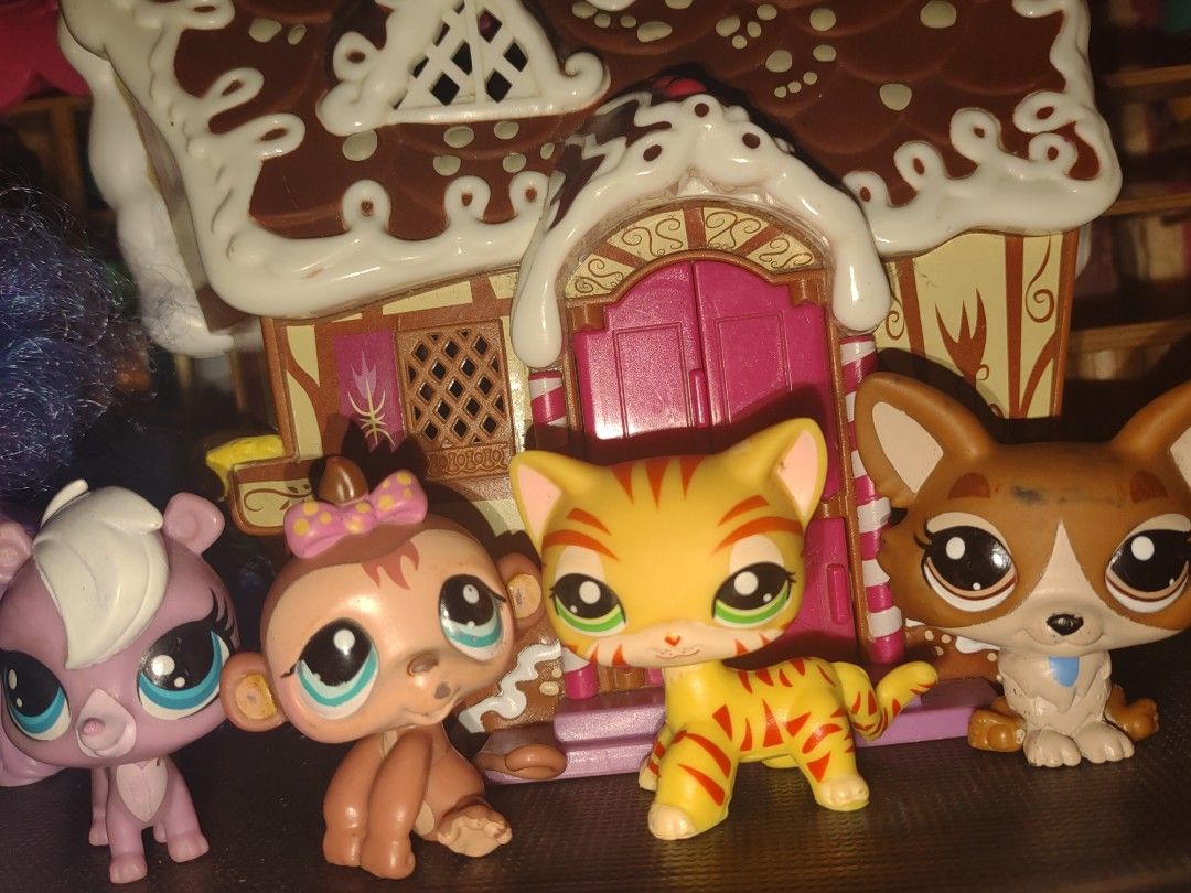 Lps | Littlest Pet shop set | on Carousell