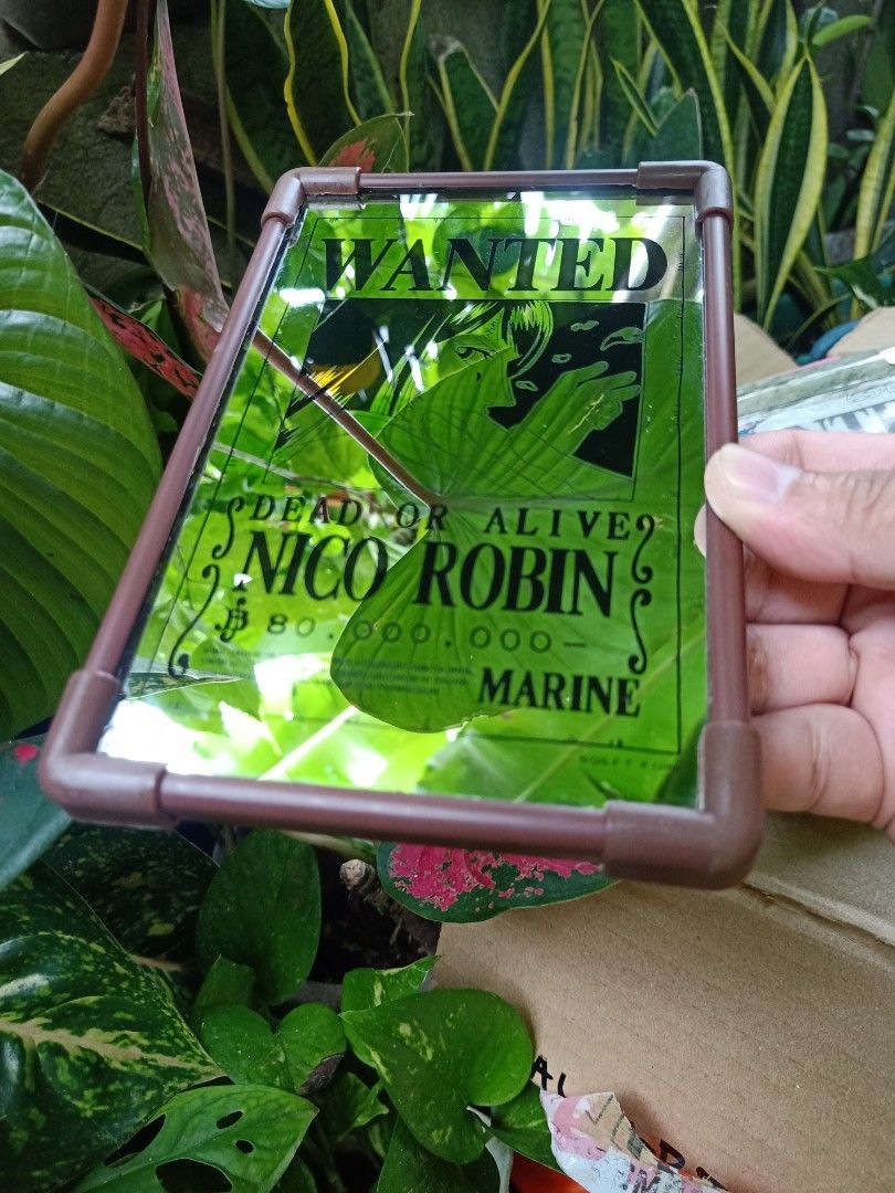 Nico Robin Glass display with box 250 on Carousell