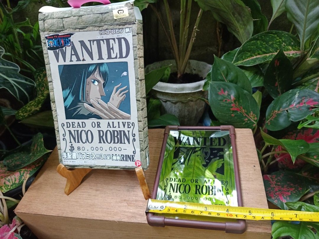 Nico Robin Glass display with box 250 on Carousell