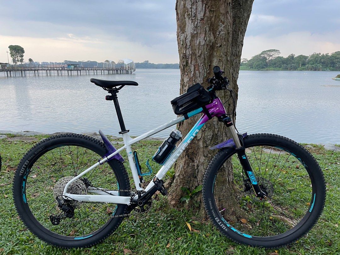 Polygon Xtrada 7 2022 - Hard Tail Mountain Bike, Sports Equipment ...