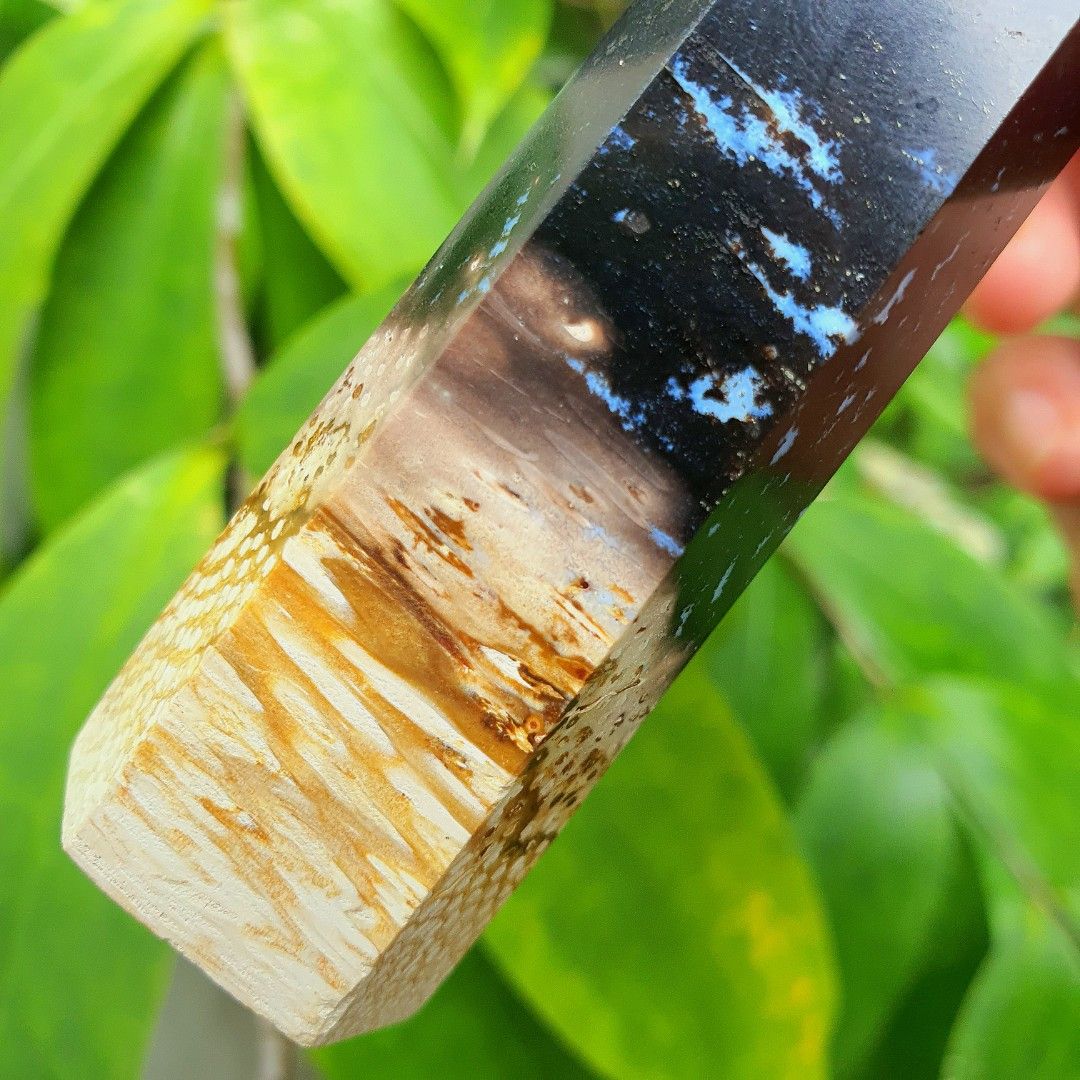 [RARE] Fossilized Petrified Palm Root tower on Carousell