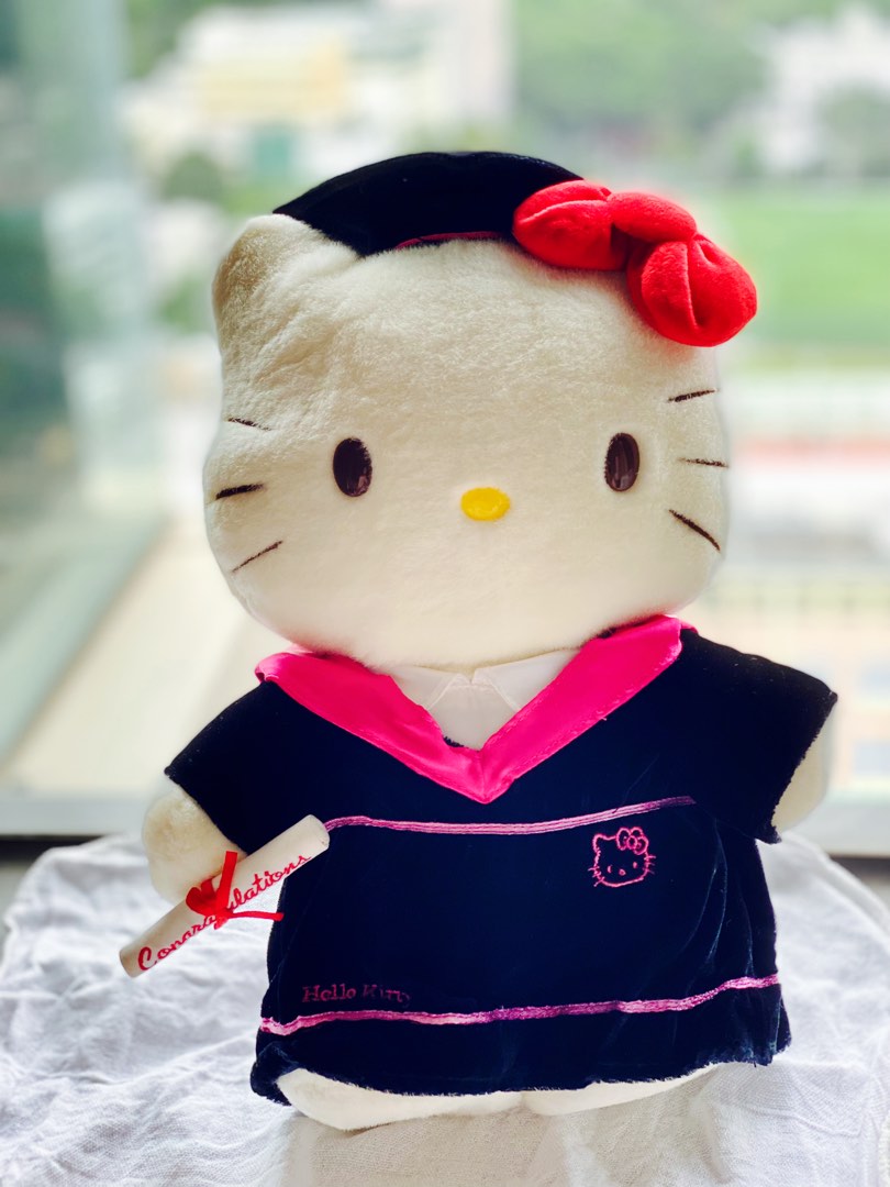 Sanrio Hello Kitty Pink Graduation 30 cm Furry Doll, 興趣及遊戲, 玩具 & 遊戲類 - Carousell