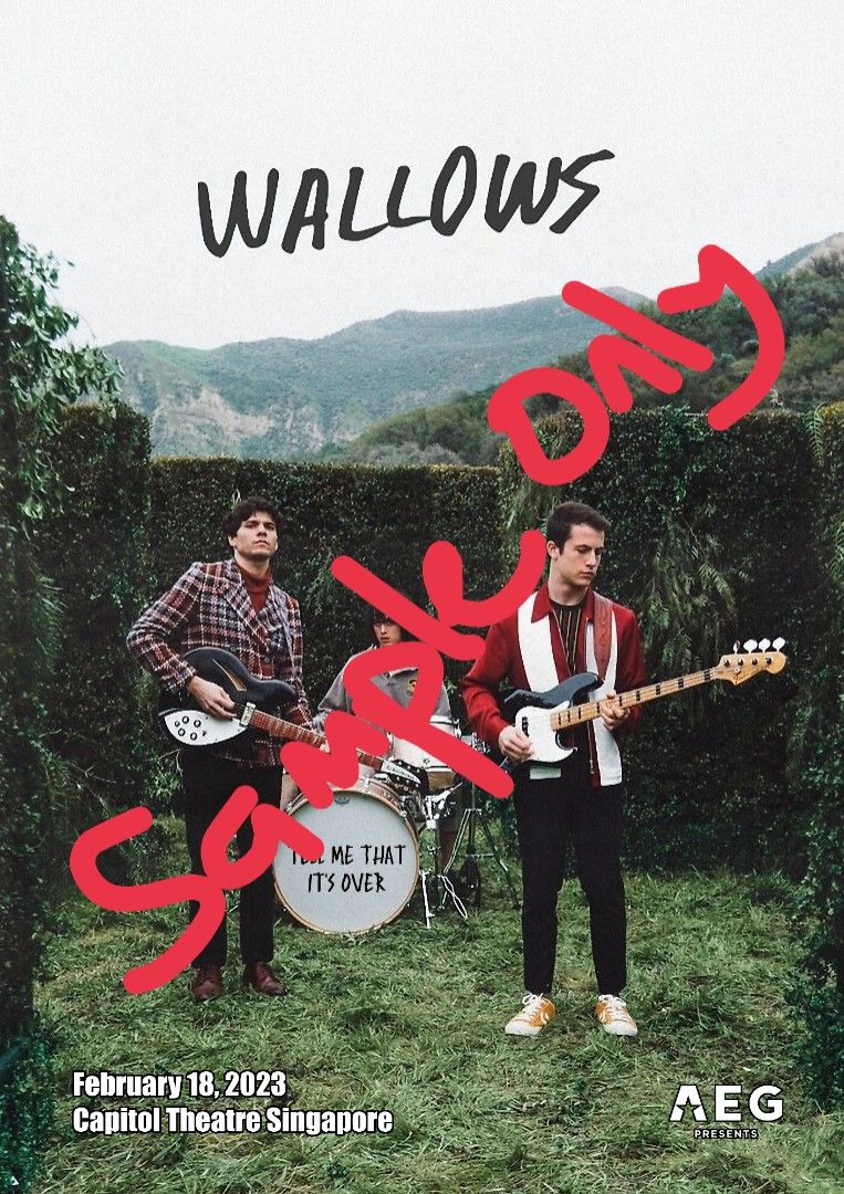 Wallows Concert Poster Singapore 2023, Hobbies & Toys, Memorabilia ...