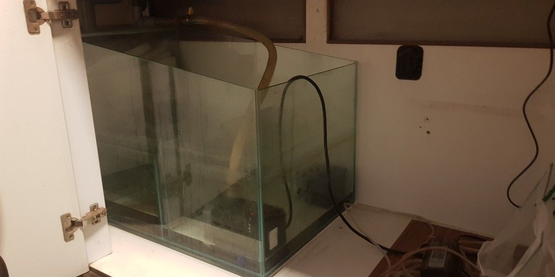 3FT SUMP TANK WITH EHEIM MOTOR, Pet Supplies, Homes & Other Pet ...