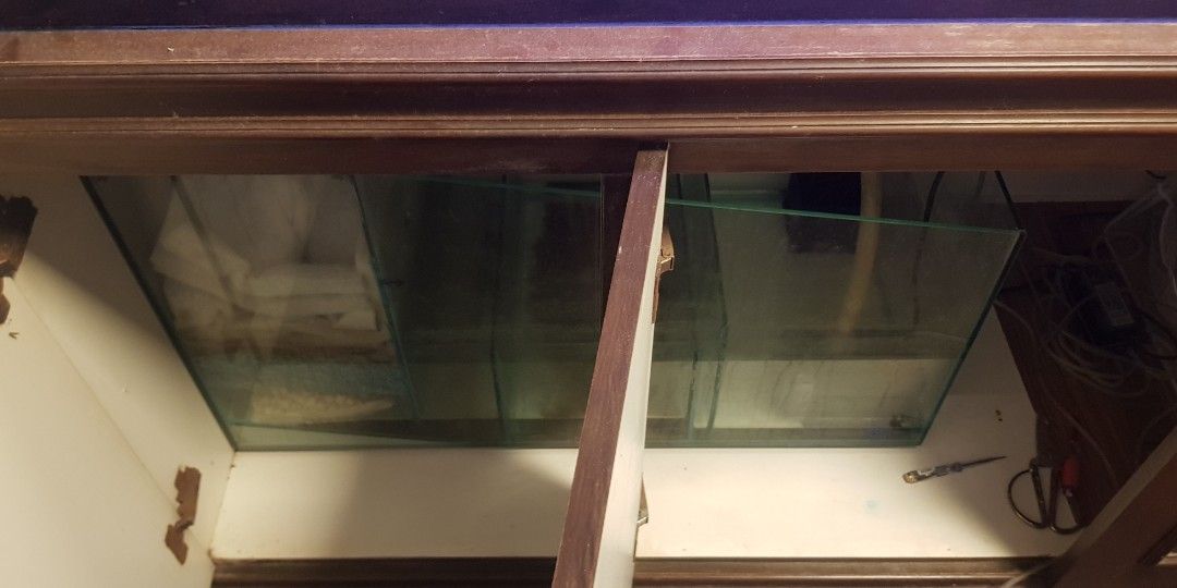 3FT SUMP TANK WITH EHEIM MOTOR, Pet Supplies, Homes & Other Pet ...