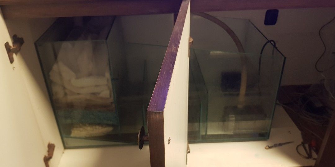 3FT SUMP TANK WITH EHEIM MOTOR, Pet Supplies, Homes & Other Pet ...