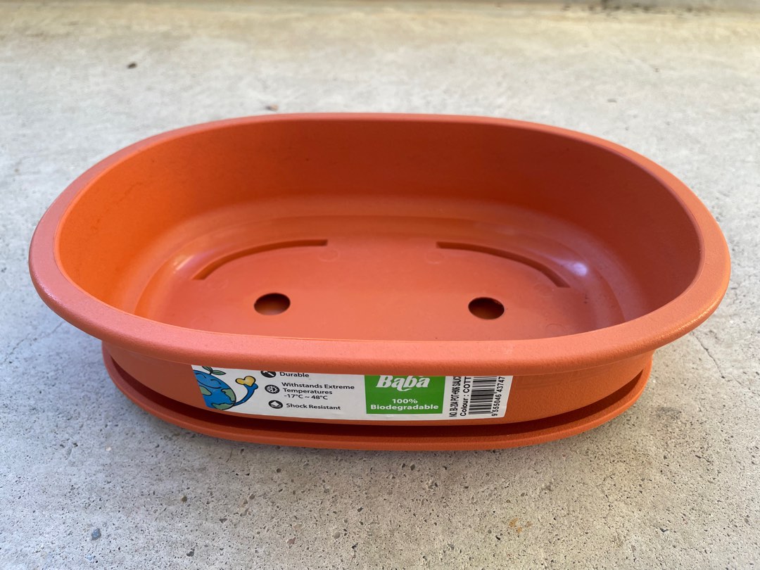 BABA BI-204 Shallow Plastic Pot+No.906 Plastic Saucer (Brown) - perfect for Bonsai!, Furniture ...