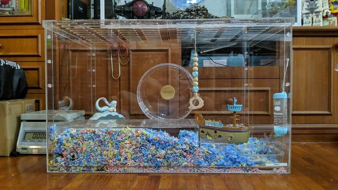 Brand New Acrylic Hamster Tank Enclosure Cage, Pet Supplies, Homes ...
