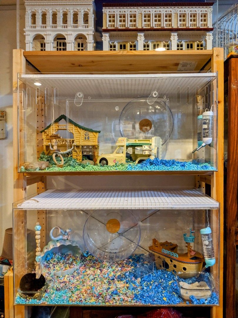 Brand New Acrylic Hamster Tank Enclosure Cage, Pet Supplies, Homes ...