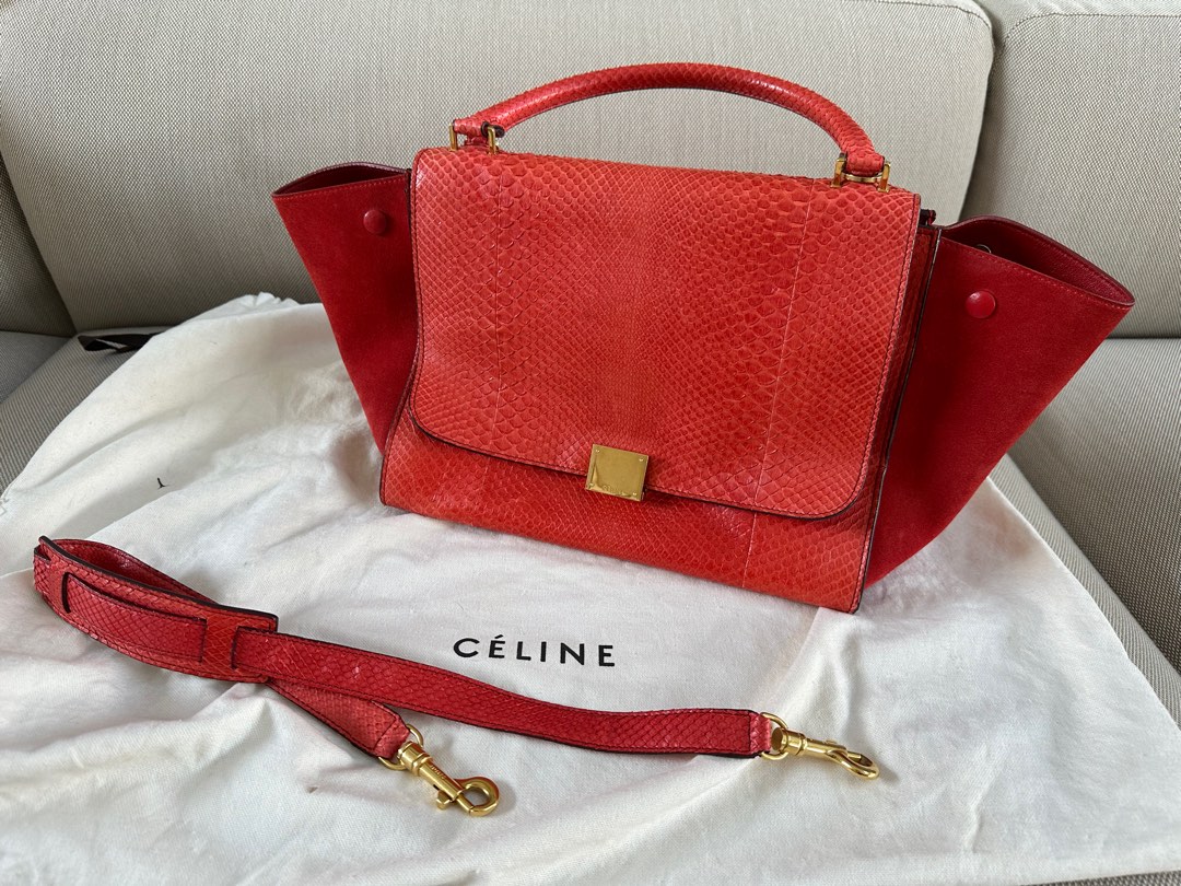 Celine python trapeze bag, Luxury, Bags & Wallets on Carousell