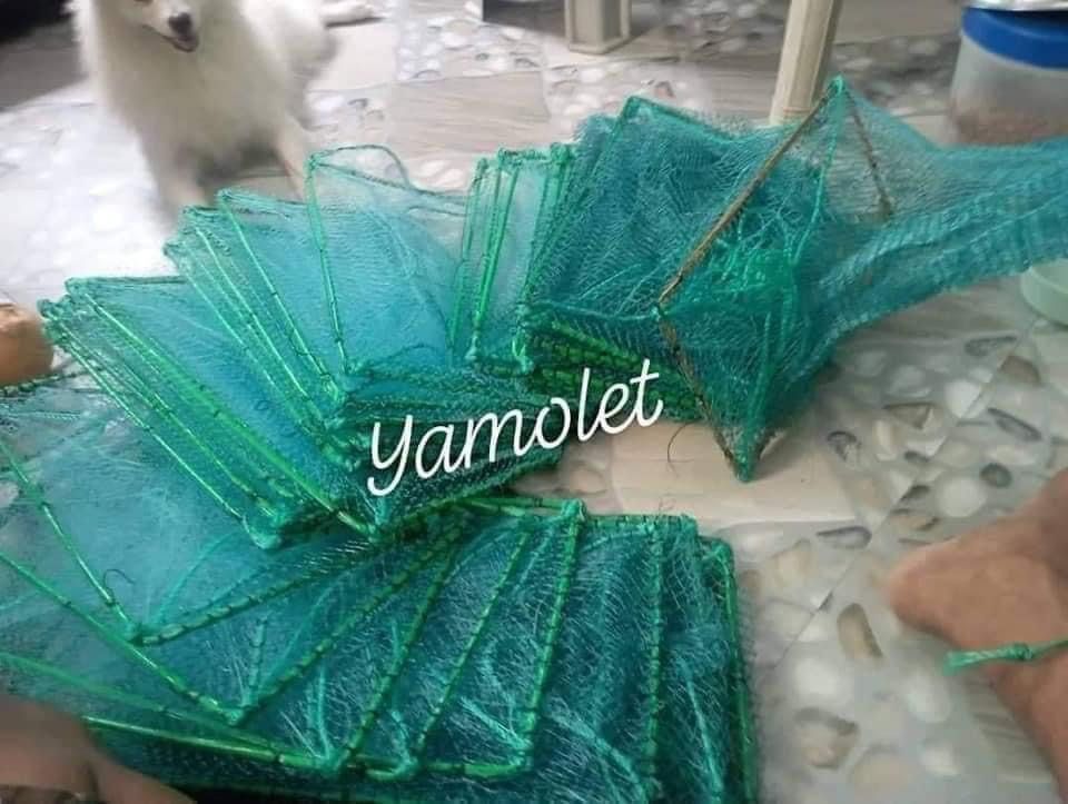 Dragon bubo cage for shrimp and crab 31 sections on Carousell