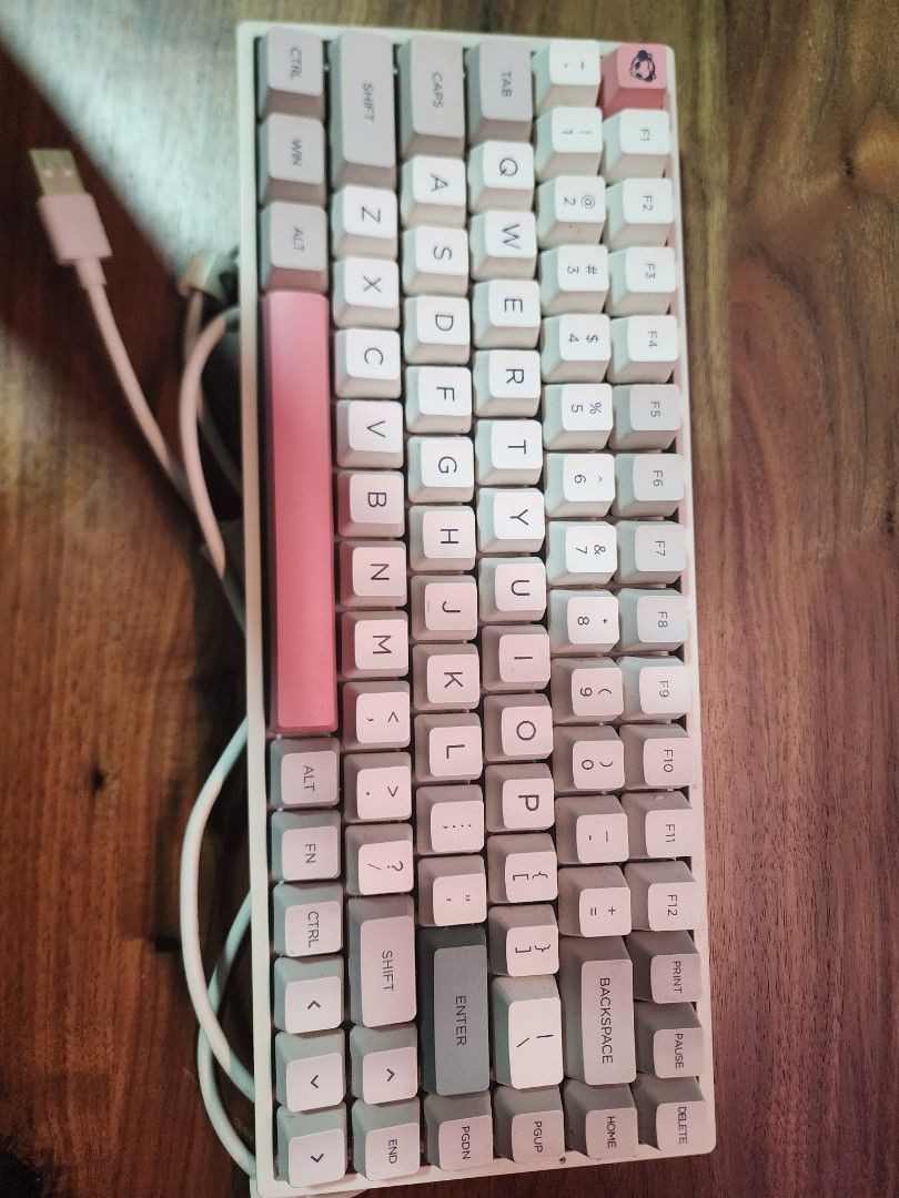 EPOMAKRT AKKO 3084 9009 RETRO 84-KEYS KEYBOARD, Computers & Tech, Parts ...