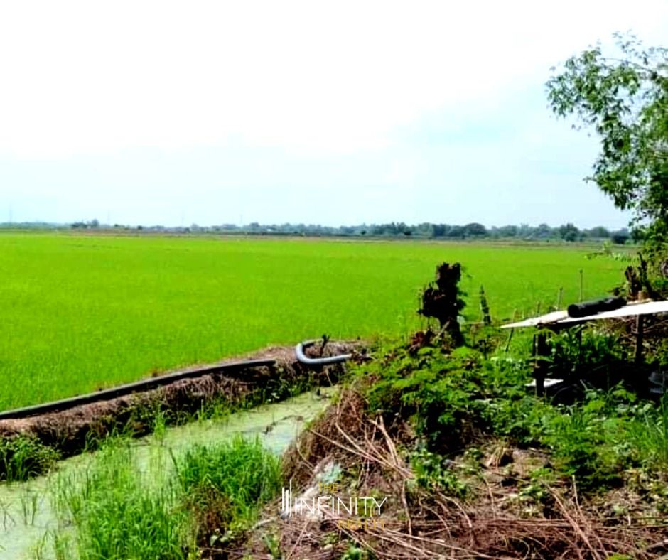 For Sale Agri Farm, Bulacan, Property, For Sale, Lot on Carousell