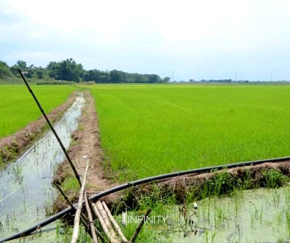 For Sale Agri Farm, Bulacan, Property, For Sale, Lot on Carousell