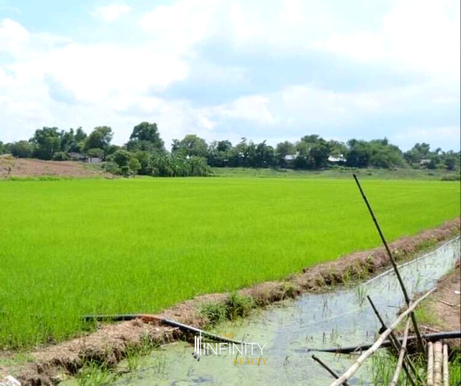 For Sale Agri Farm, Bulacan, Property, For Sale, Lot on Carousell