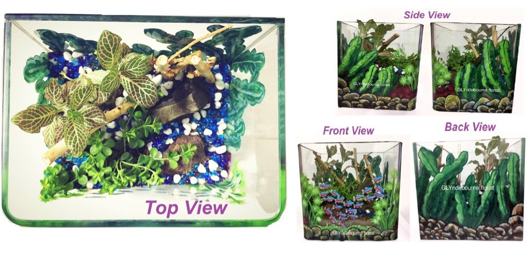 Hand drawn Fish Tank Terrarium A, Hobbies & Toys, Stationery & Craft ...