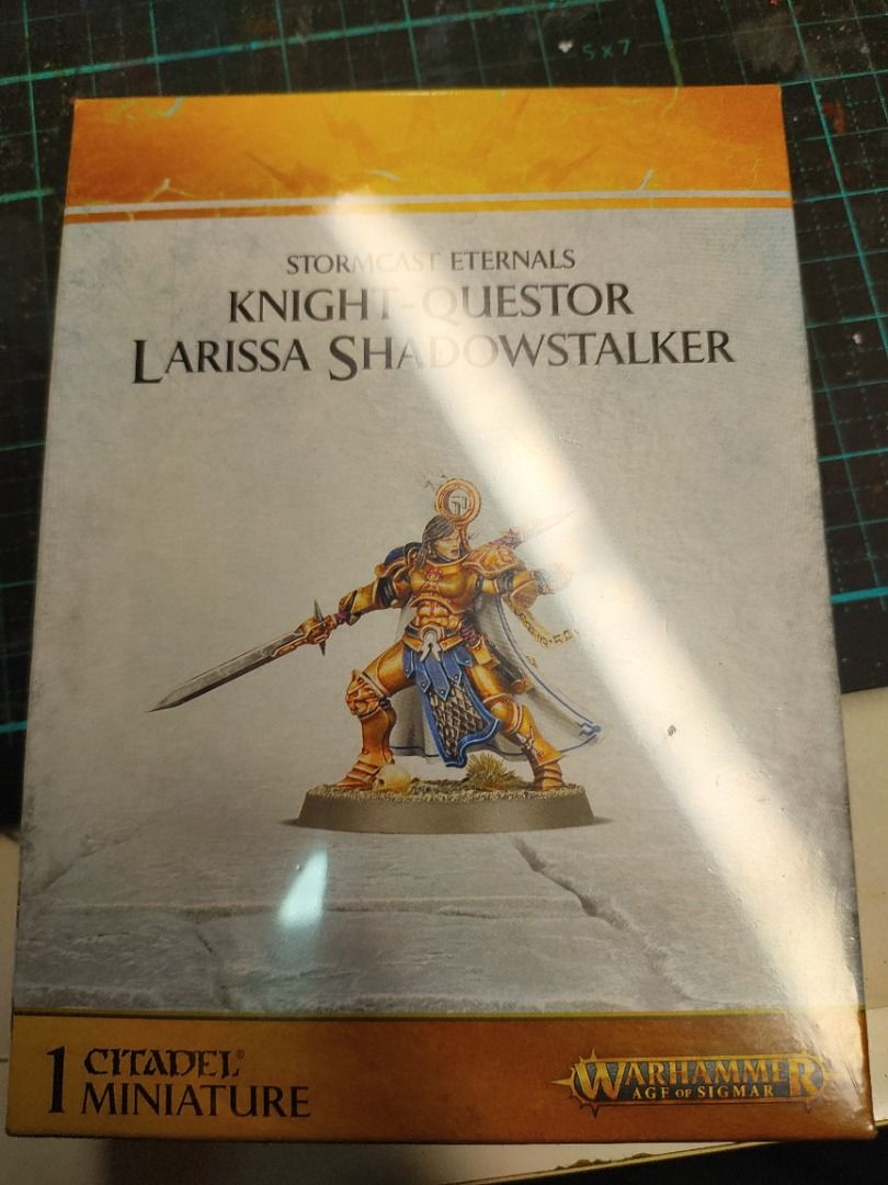 Knight Questor Larissa Shadowstalker, Hobbies & Toys, Toys & Games on Carousell