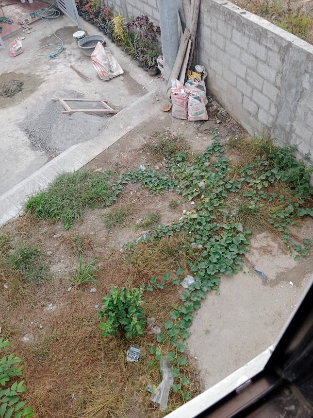 PAGSIBOL on Carousell