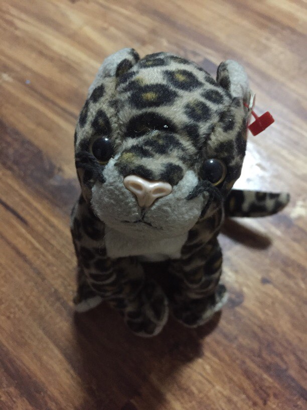 TY cheetah small stuffed toy, Hobbies & Toys, Toys & Games on Carousell