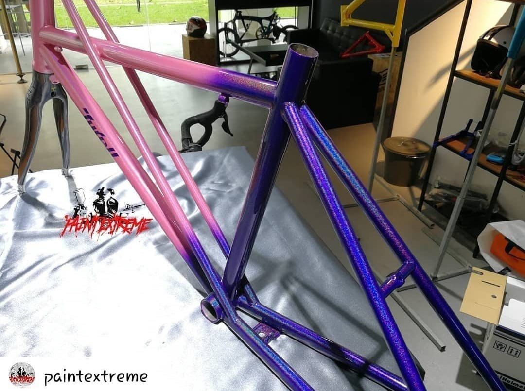 Tyrell CX Mini Velo - Custom Painted, Sports Equipment, Bicycles ...