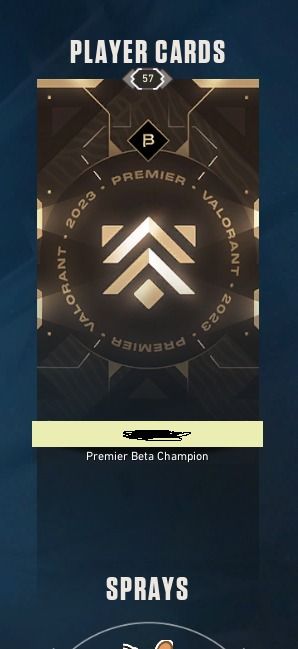 Valorant Premier Beta Champion account (SUPER RARE FLEX), Video Gaming ...